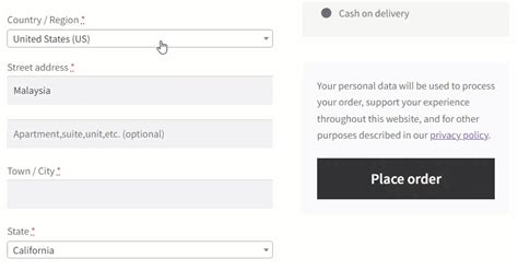 Address Auto Complete For WooCommerce Documentation WooCommerce