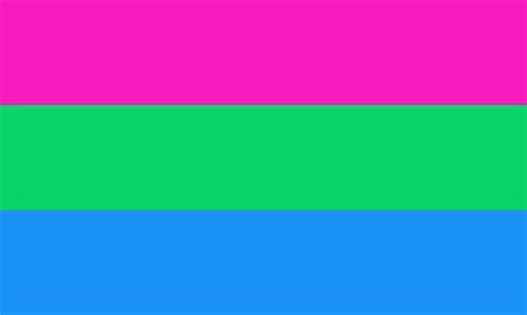 What Is The Polysexual Pride Flag What Does It Mean