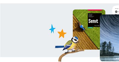 Fem Grunner Til å Velge Senit Gyldendal