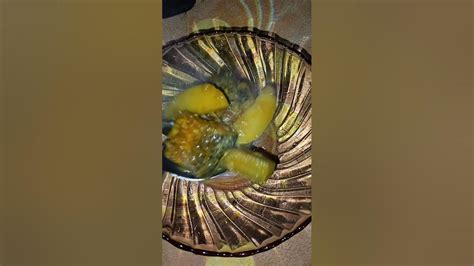 আজকে মুন ভাই আলু বেগুন দিয়ে বাটা মাছের ঝোল রান্না করছে খুব মজা হইছে