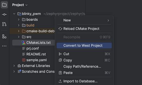 Working With Zephyr® Rtos Projects Using West Clion Documentation