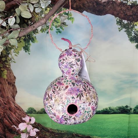 Birdhouse Gourd Etsy