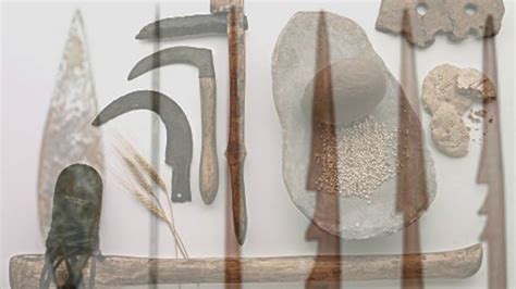 Early Man Tools