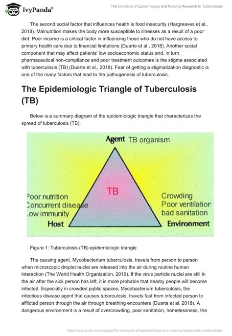 the concepts of epidemiology and nursing research to tuberculosis 1727 words research paper