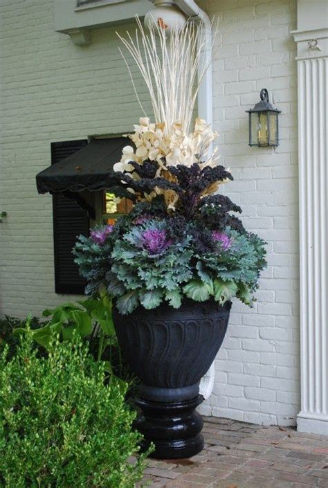 97 Best Ornamental Cabbage Planter Images On Pinterest
