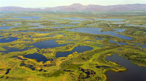 Call For An Ambitious Global Biodiversity Framework On World Wetlands