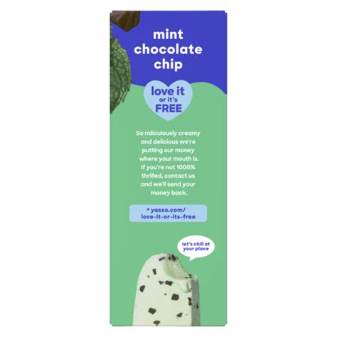 Yasso Frozen Greek Yogurt Bars Mint Chocolate Chip Bars Same Day