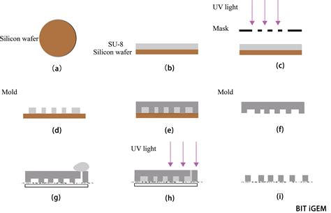 Team BIT Hardware Microarray 2018 Igem Org