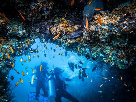 Diving In Belize Padi