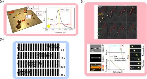 Strategies For Analyte Transport And Sorting By Exploiting Phase