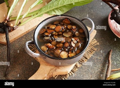 Making Homemade Comfrey Ointment From Sliced Root And Rendered Pork