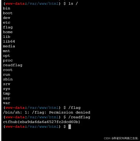 Ctfhub Web进阶 Php Bypass Disablefunction Bypass Iconv 2 Csdn博客