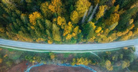 숲 한가운데에 있는 도로의 조감도 사진 Unsplash의 위에서 이미지