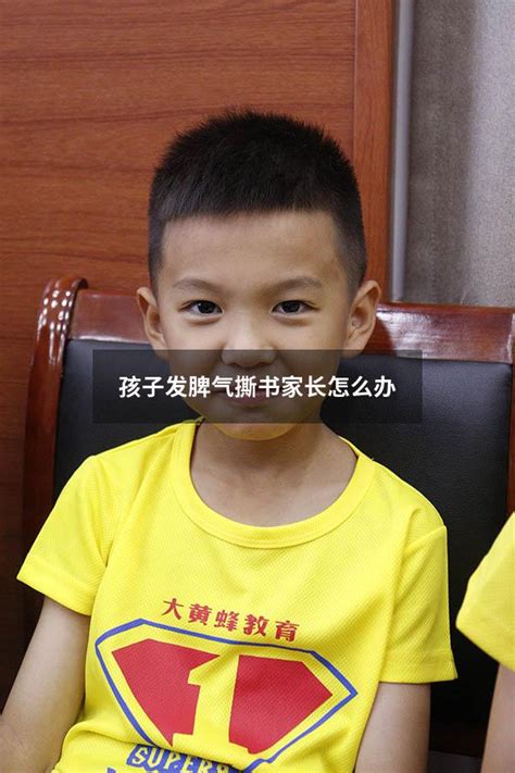 孩子发脾气撕书家长怎么办 大黄蜂教育