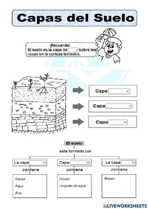 Capas Del Suelo Activity Live Worksheets