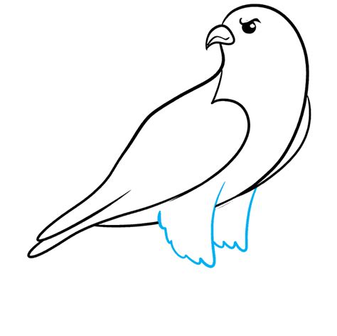 How To Draw A Falcon Step By Step Easy