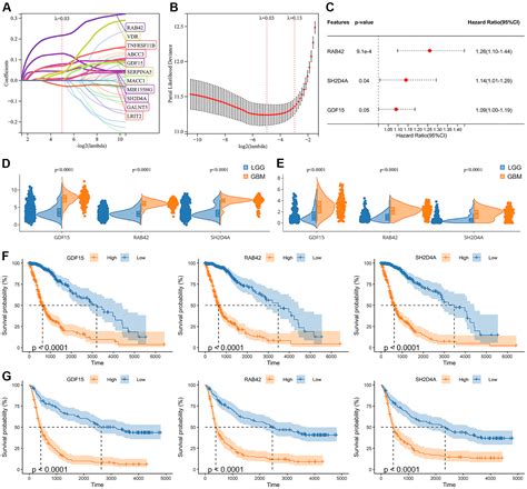 Integrated Clustering Signature Of Genomic Heterogeneity Stemness And Tumor Microenvironment
