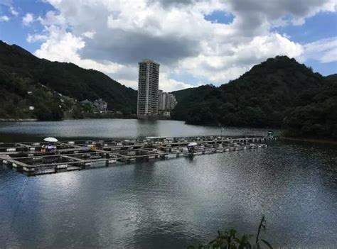 这个周末一起去杭州这些地方吹吹风、钓钓鱼，享受农家乐吧！