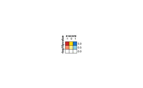Display Colors From Bivariate Color Function — Make Legend Bivariate • Multienrichjam