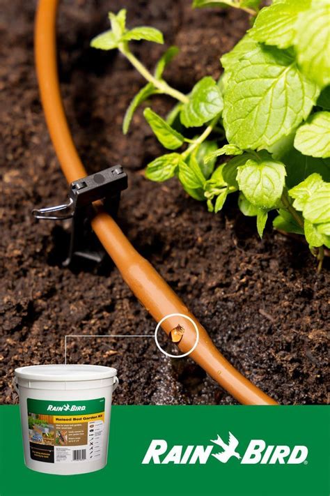 How To Fill Raised Garden Beds With Organic Soil Artofit