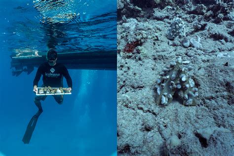 National Fish Habitat Partnership Projects To Engage Recreational