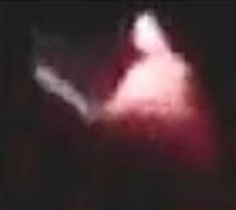 Beginning Of The Footage Frame By Frame Sequence Rcameronrobbinsshark