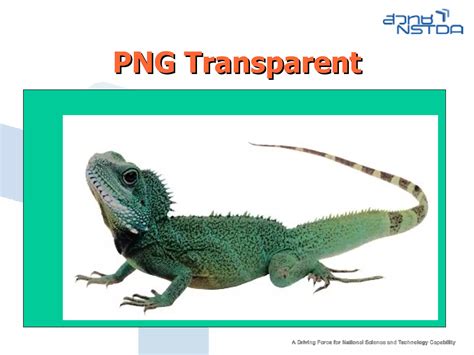 Web Accessibility PPT