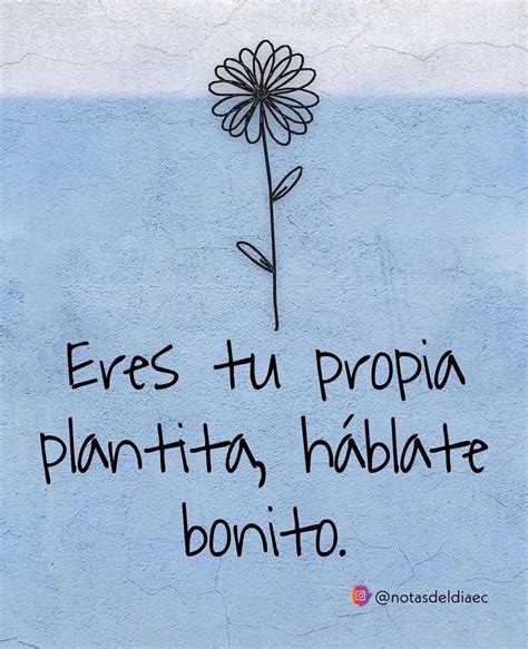 Eres tu propia plantita háblate bonito Memes
