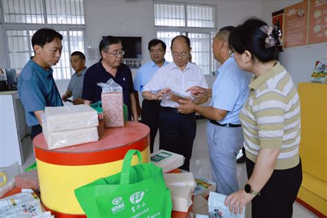 中国水稻研究所专家到潢川调研指导工作 要闻 潢川新闻网 潢川县委县政府门户网站
