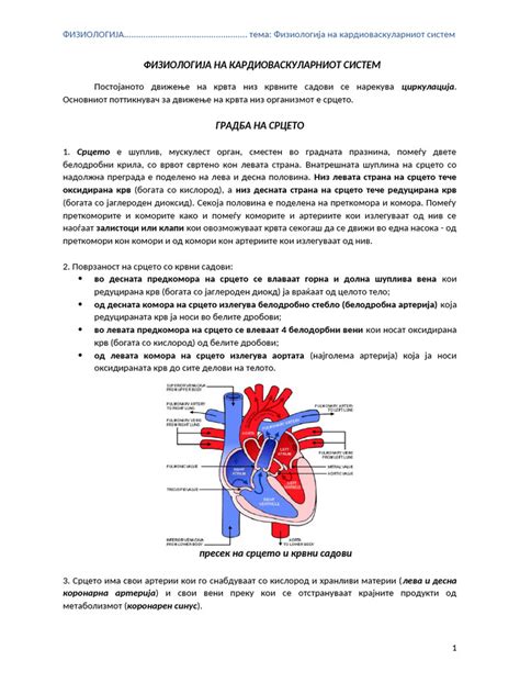 Srce Fiziologija Pdf