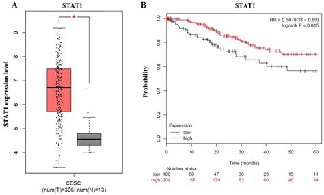 Bioinformatics Analysis Of Stat1 Expression In Cervical Tissues A