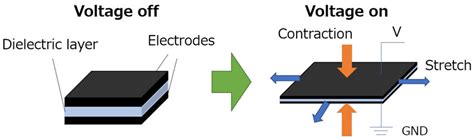 Driving Principle Of The Dielectric Elastomer Actuator Dea Dea