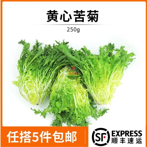 新鲜细叶黄心嫩苦菊苦苣蔬菜黄九芽生菜狗牙健身轻食即食沙拉生菜 陈嘉扬491552248