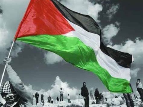 Egyptians Sing My Blood Is Palestine At Israeli Tourists