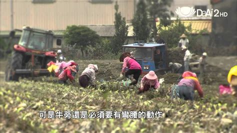 【農夫與他的田】預告 20140524 台南老大的牛蒡田 Youtube