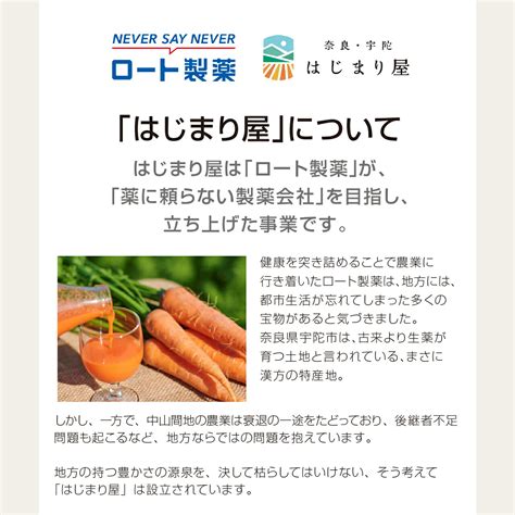 【楽天市場】【畑から直送！】宇陀 はじまり屋 旬のお野菜セット【にんじんジュース1本プレゼント中】 詰め合わせ クール便 新鮮 お野菜 葉物