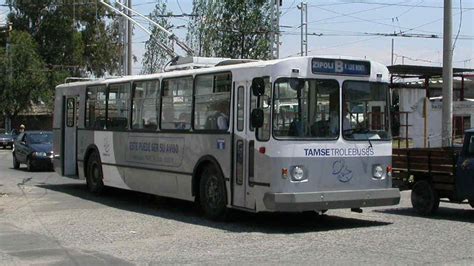 Todos Los Tipos De Trolebuses Que Pasaron Por Córdoba