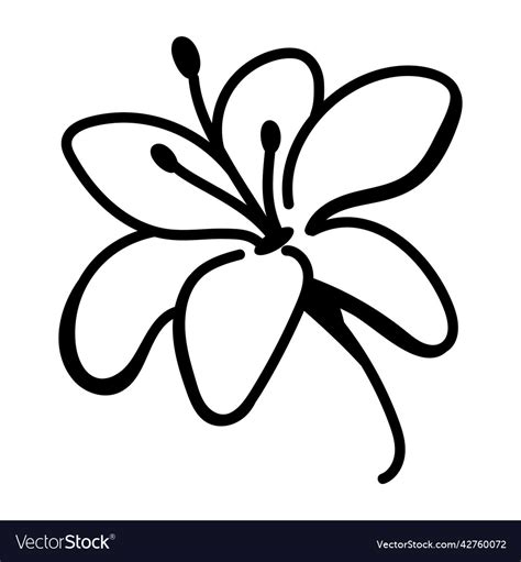Hibiscus Royalty Free Vector Image VectorStock