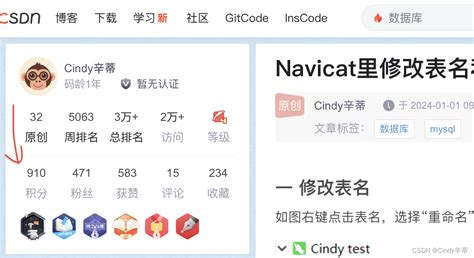 Csdn查看积分的方法（最快）csdn的积分怎么看 Csdn博客