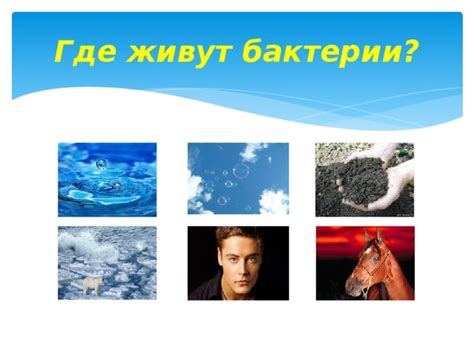 Презентация для начальных классов "Бактерии"