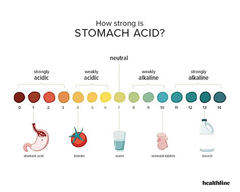 Digestion 101 Physio And Pathophysiology Part Ii Arcana Empothecary