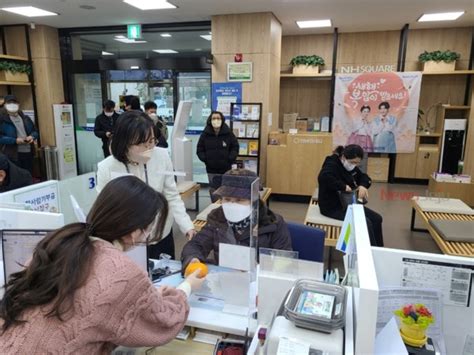 농협 제주시지부 만감류 소비촉진 행사 뉴스제주
