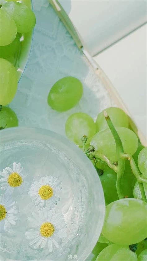 绿色夏天小清新手机静态壁纸 小清新手机壁纸下载 元气壁纸