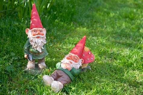 History Of Garden Gnomes When Was The First And Where Did It Come From