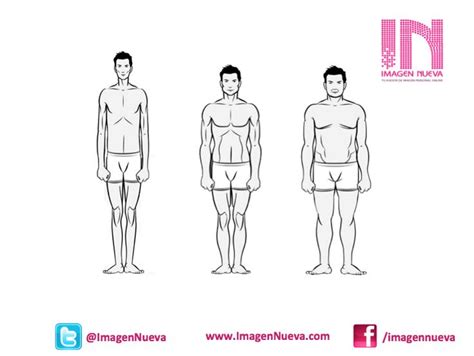 El Tipo De Cuerpo Masculino Se Clasifica En 3 Tipos Ectomorfo