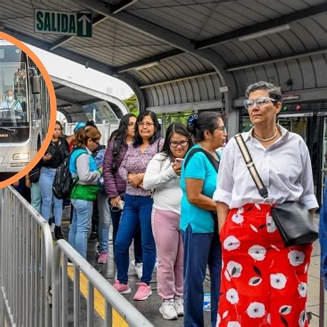 Limón Puede dañar todo el sistema digestivo INS señaló los peligros de usar ácido cítrico en