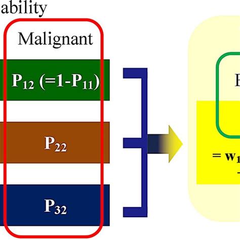 structure of the classification ensemble when multiple cnns were