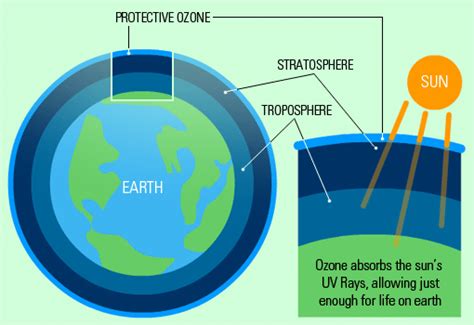 Essay On Ozone Layer Depletion And Protection