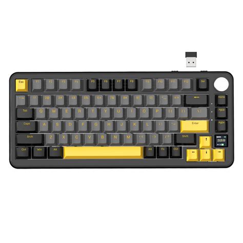 The Ultimate Guide To Keyboard Customization From Basic Mods To Pro