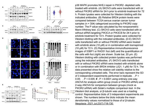 Losmapimod P38 Mapk Inhibitor For Inflammation Apexbio